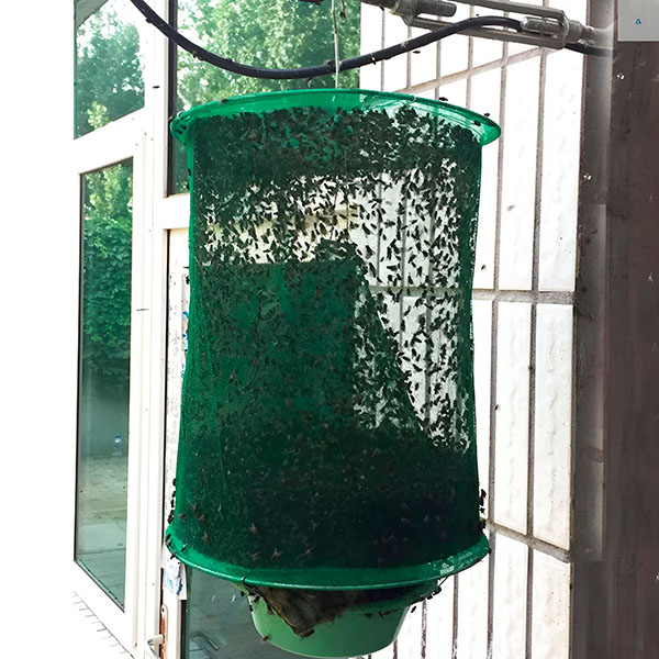 Zamka za muve i insekte za kačenje, višekratna upotreba | INSECTA ...